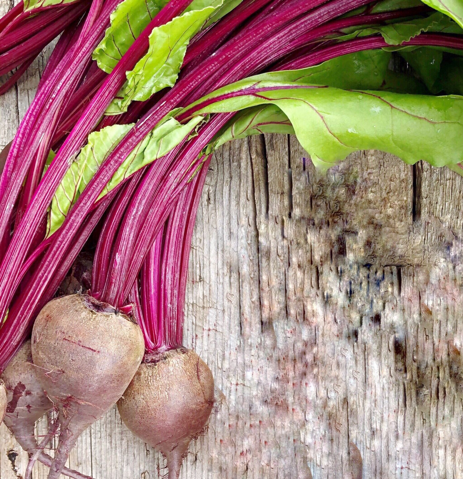 Gluten Free Beet Rolls